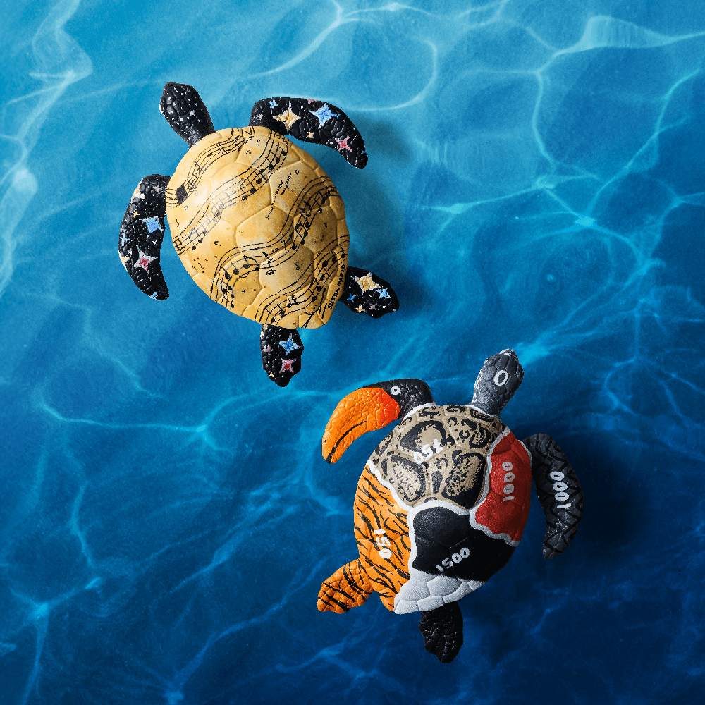 The Penyu Shell-Ter Project